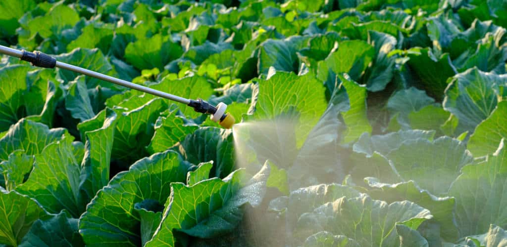 Fast Acting Insecticide Chemicals For Agriculture In 2025
